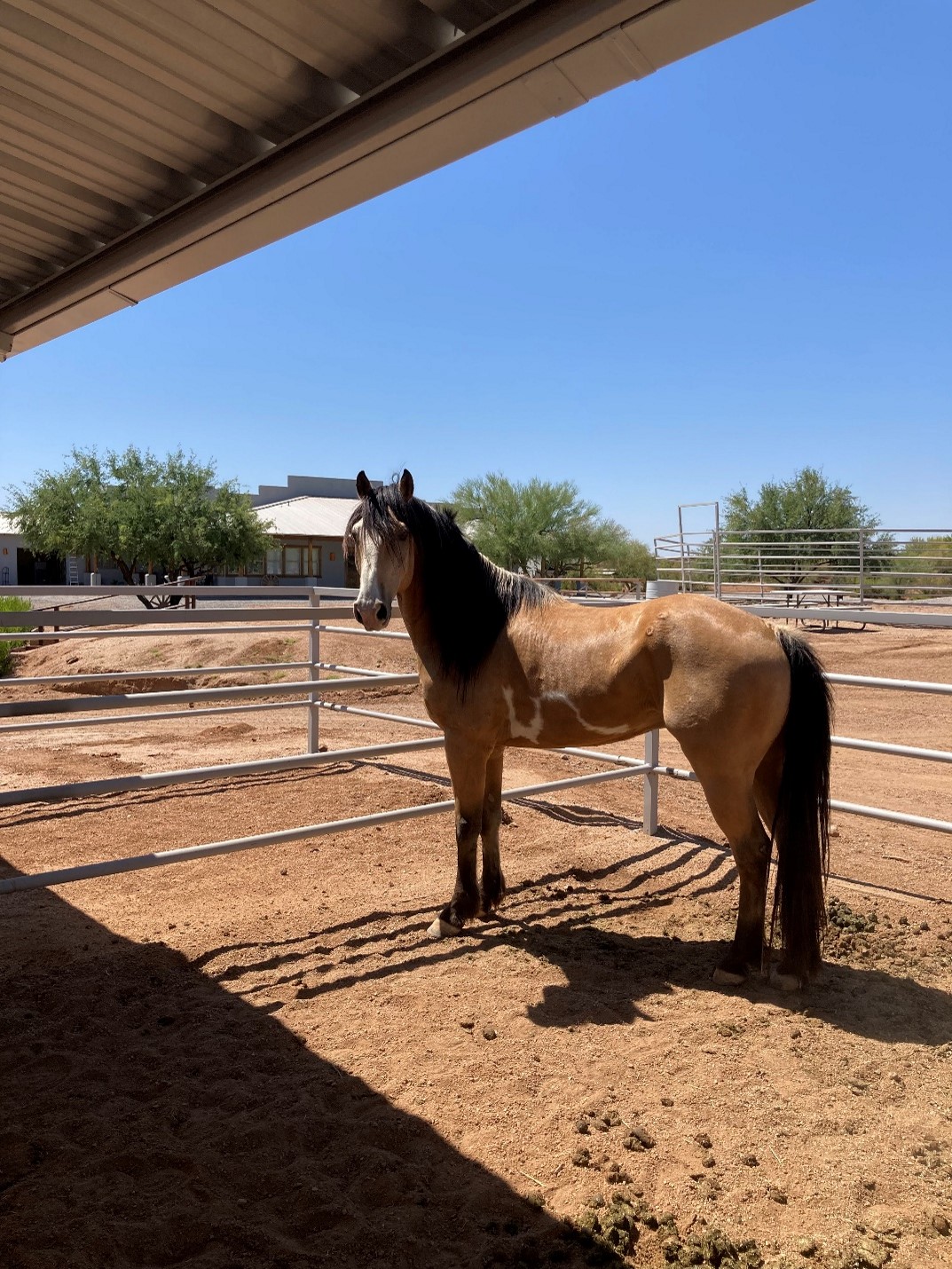 AZ Broken Arrow - Queen Creek Directory - Experience Relationships ...
